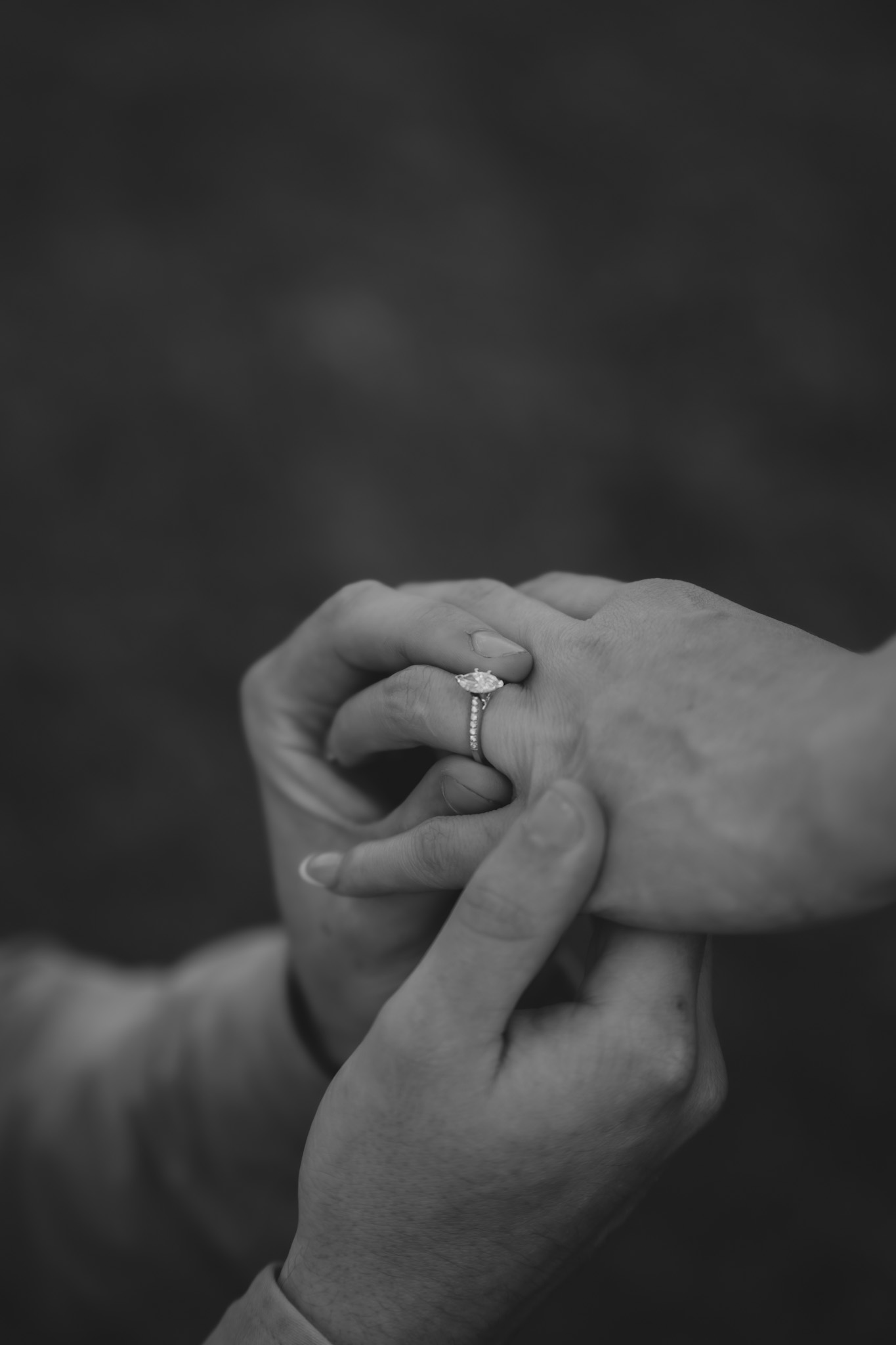 Proposal Photography - Ask Ash Photography